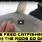 Team Catfish - #1 in Catfish Gear, Equipment and Catfish Bait